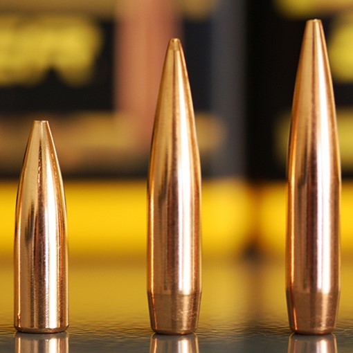 PROJECTILES – NSWRA